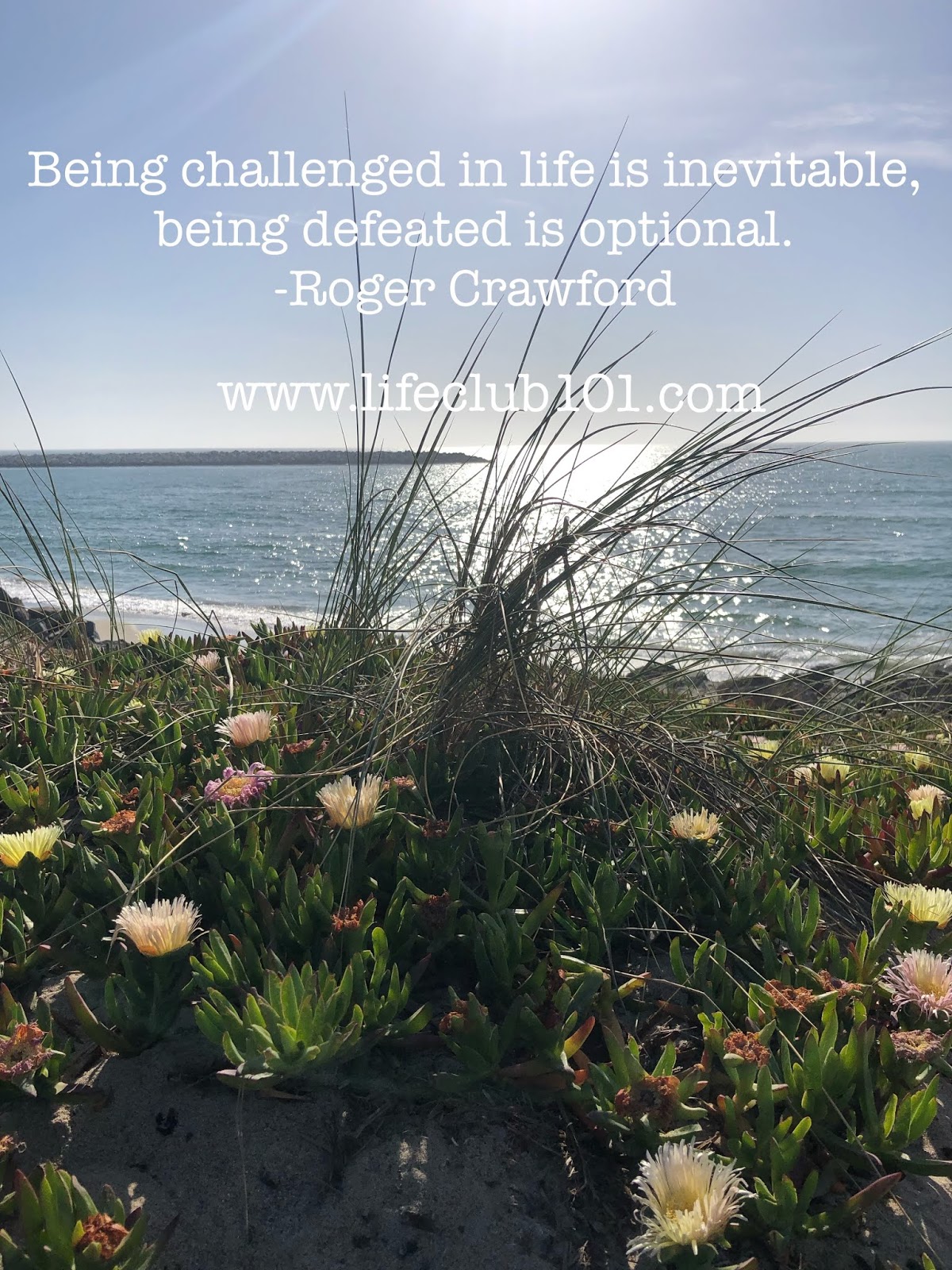 Life is so beautiful.Live your life and enjoy every moment of it ...