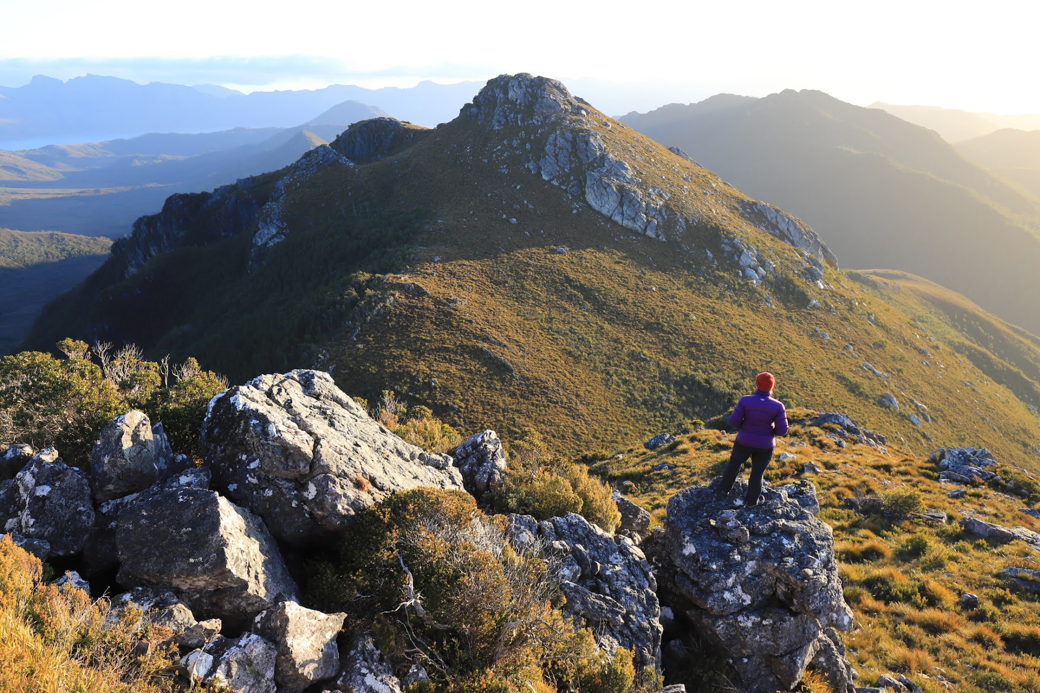 awildland: Standing Guard - The Sentinel Range, Tasmania