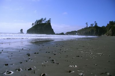 Nature remains.: Tainted Snow (SWF)