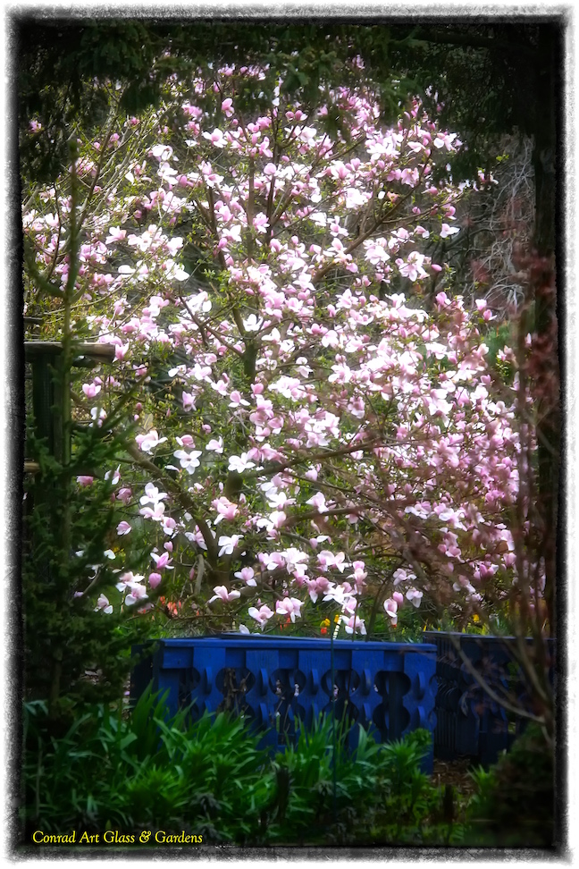 Conrad Art Glass & Gardens: #2 of "The 2017 garden year in review ...