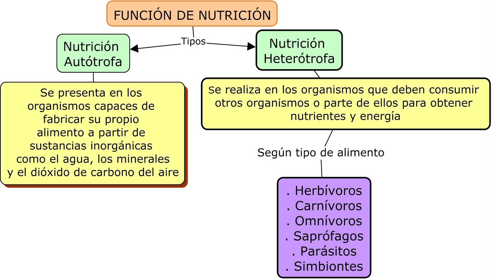 Instituto Madre del Buen Consejo Sede D: NATURALES 4