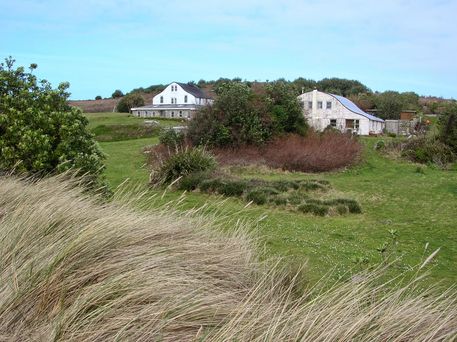 A lifetime of Islands: Island 50 - Gugh, Isles of Scilly