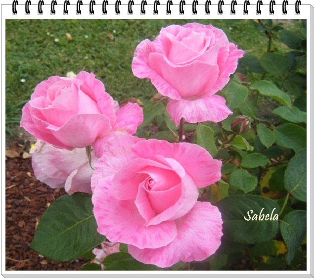 Un rincón para el atardecer: Tú y yo...