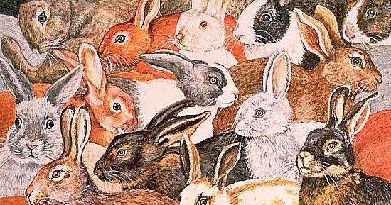 Art Now and Then: Rabbit Art