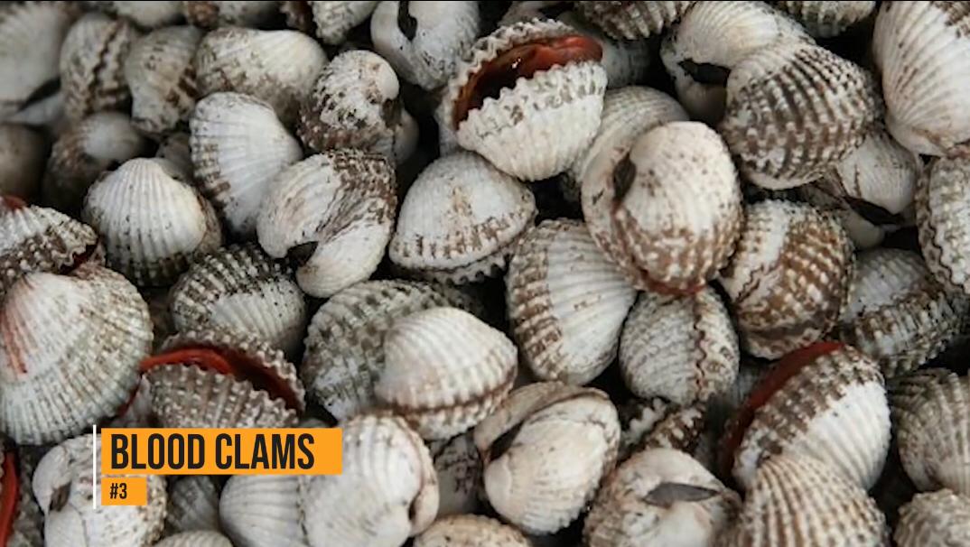 Blood Clams