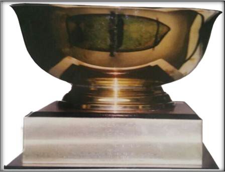 BATALION KE-8 REJIMEN RENJER DIRAJA (PARA): SEJARAH PASUKAN