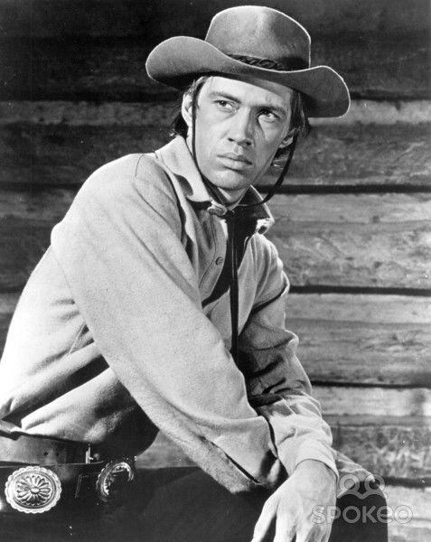 TV A LENHA E O VIAJANTE DO TEMPO: SÉRIES ANTIGAS DA TV (CLASSIC TV ...