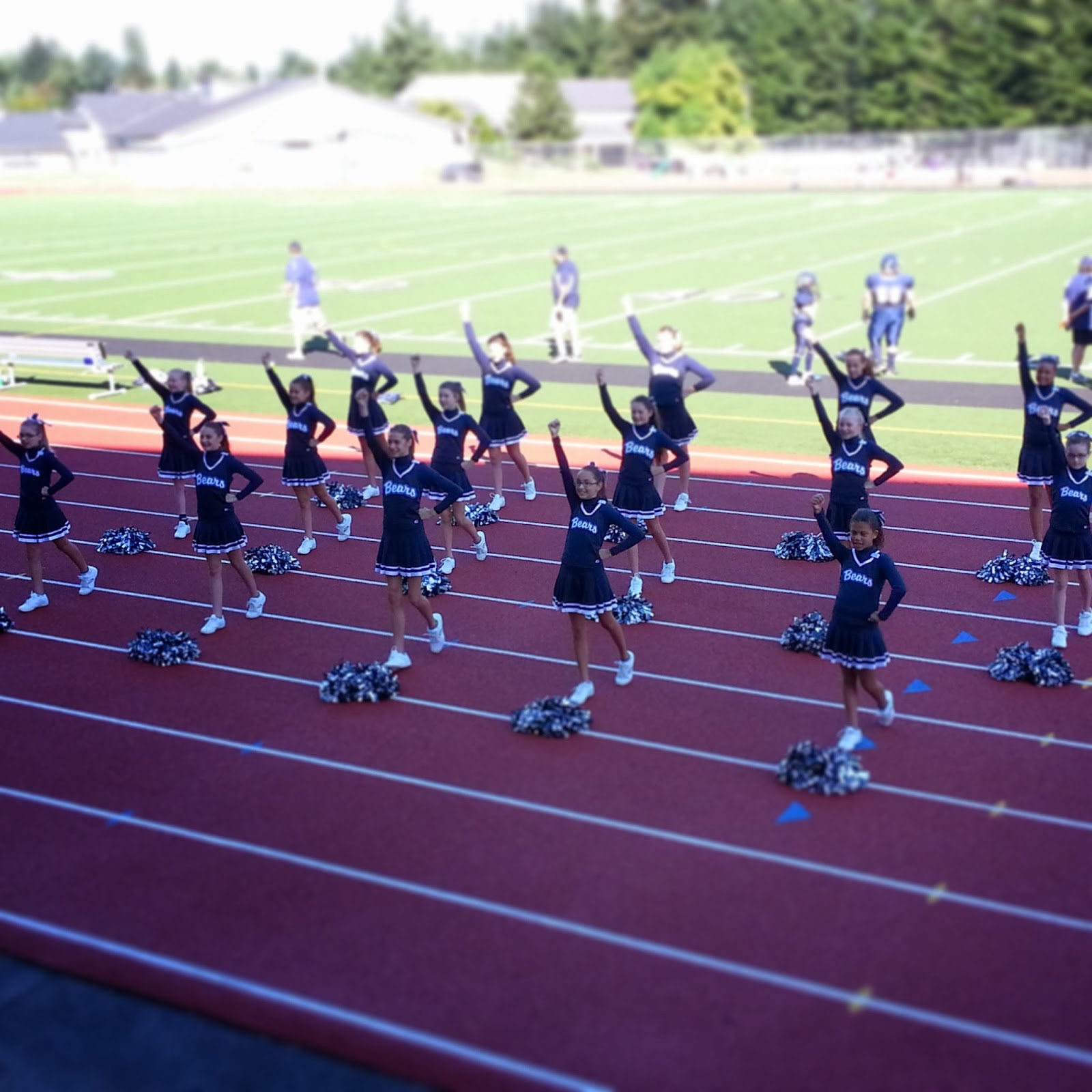 Chocolate Chips and Snickerdoodles....