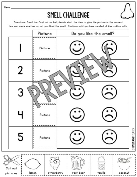 Emily Jane Creates: FIVE SENSES BUNDLE