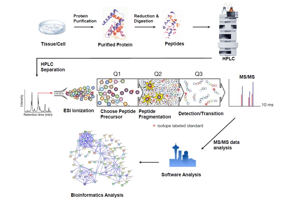 Techniques for Quantitative Proteomics