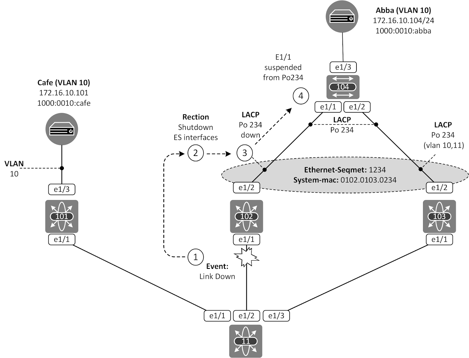 The Network Times: EVPN ESI Multihoming - Part I: EVPN Ethernet Segment ...
