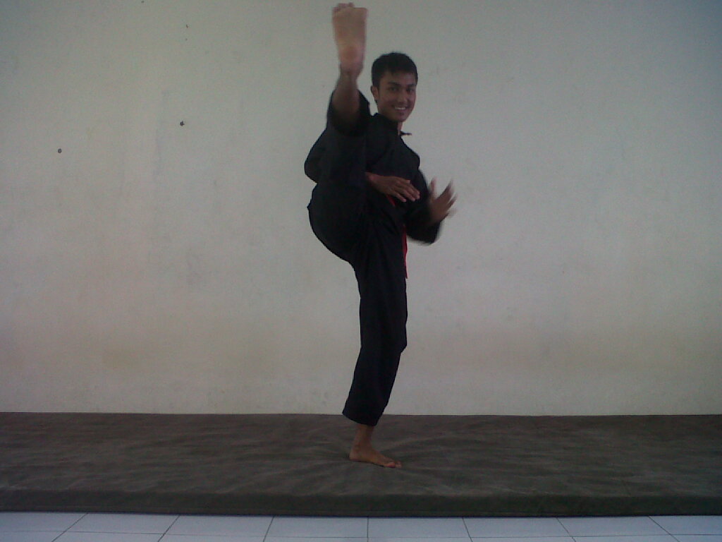 PENCAK SILAT DASAR: TEKNIK DASAR DALAM PENCAK SILAT