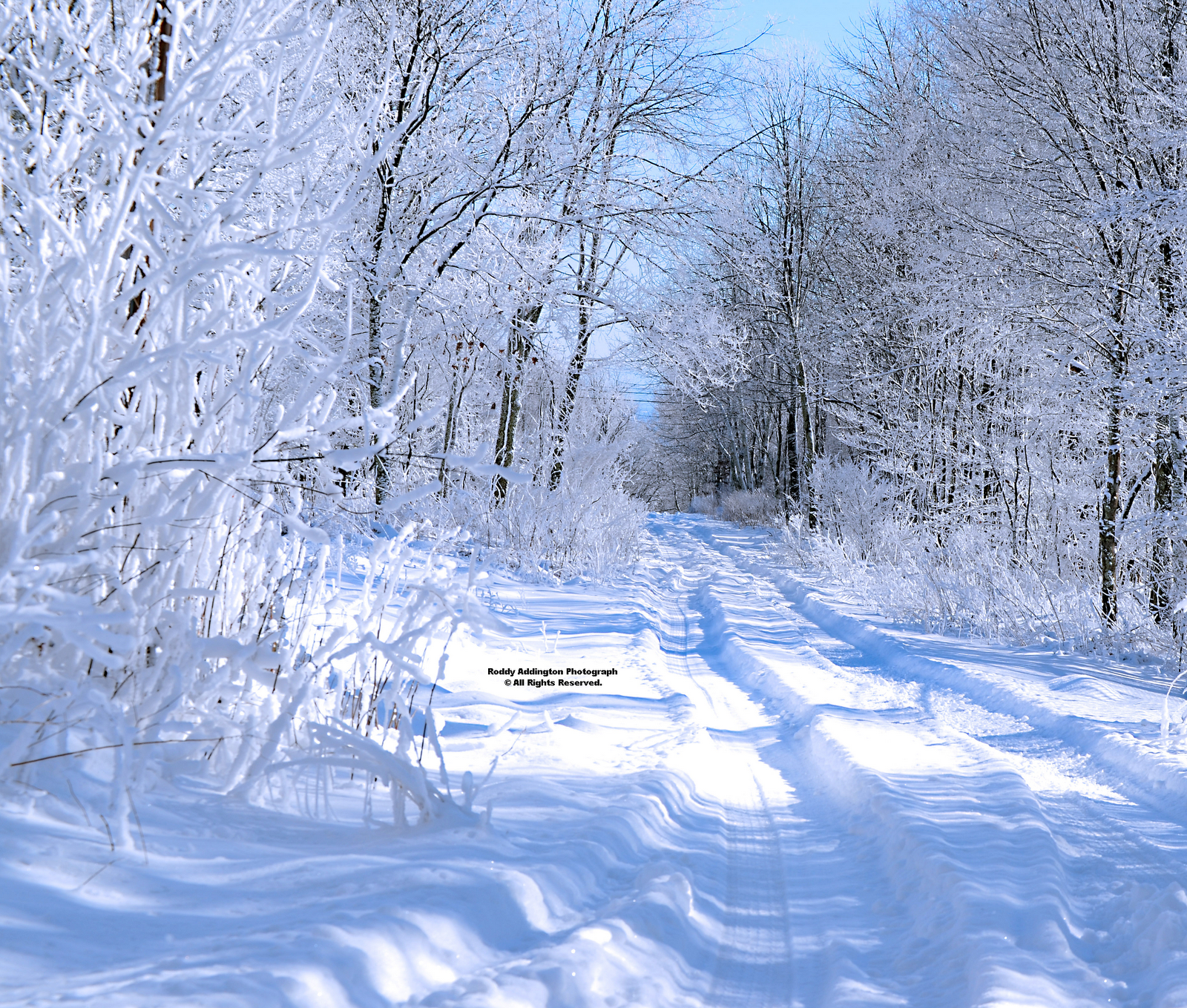 The High Knob Landform: Winter Returns In February 2012