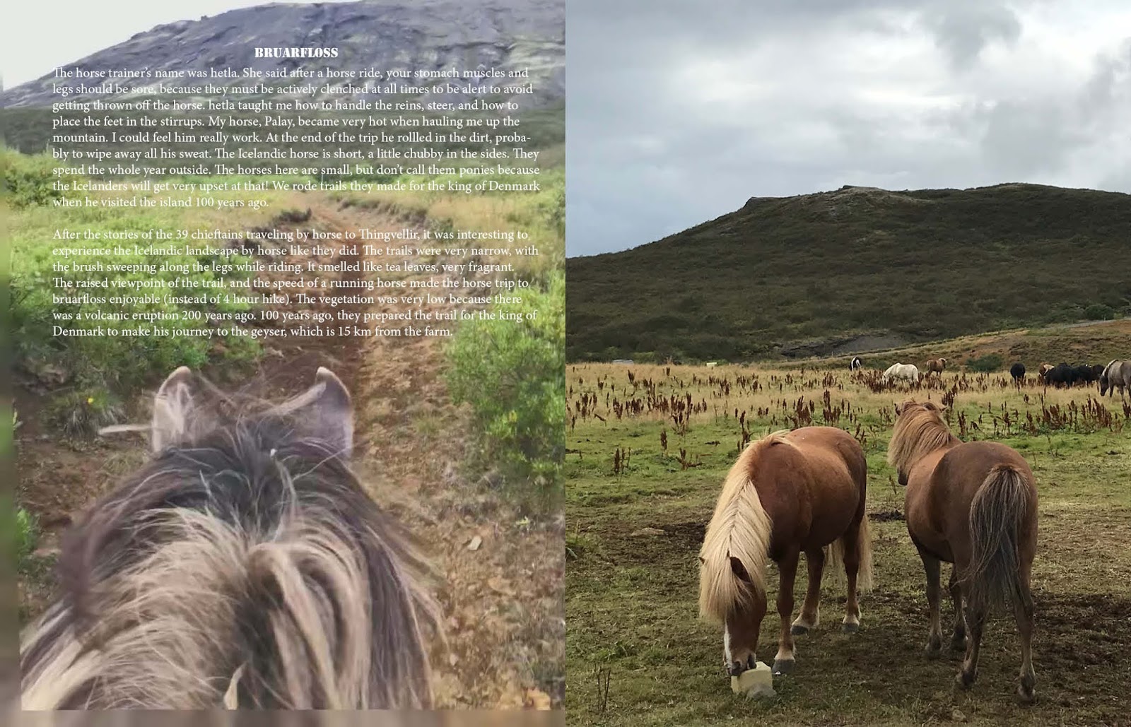 Architext: Iceland Travel Log