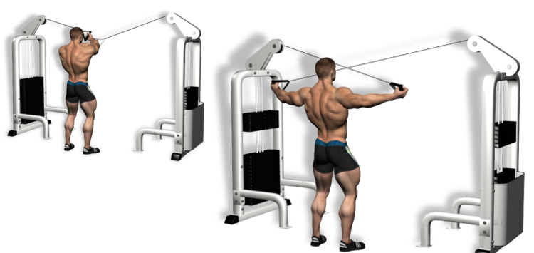 DEVIOUS SALUTE: FITNESS: MUSCOLO GRAN DORSALE e GRAN ROTONDO