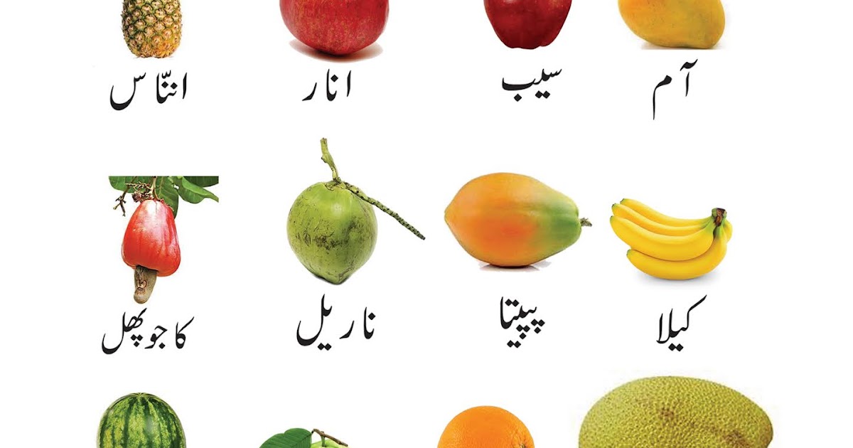 urdunotebook: Phal (Fruits Chart)