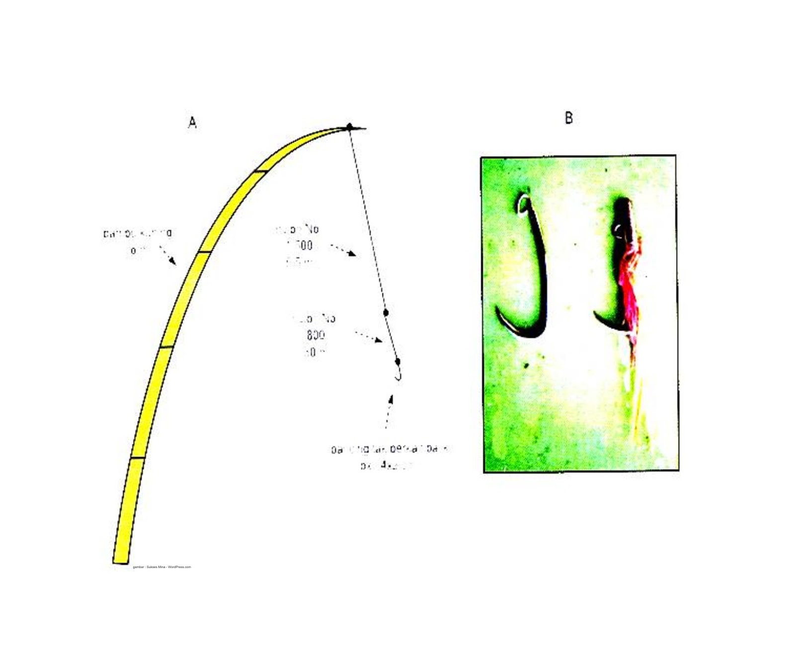Tradisi menangkap Ikan Dengan teknik Huhate Di Larantuka - Lalaukan