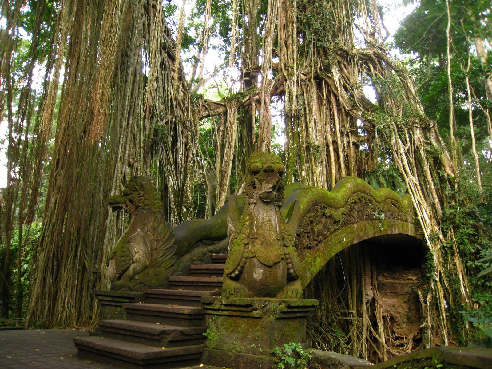 Indonesian Cultures: Ubud Monkey Forest