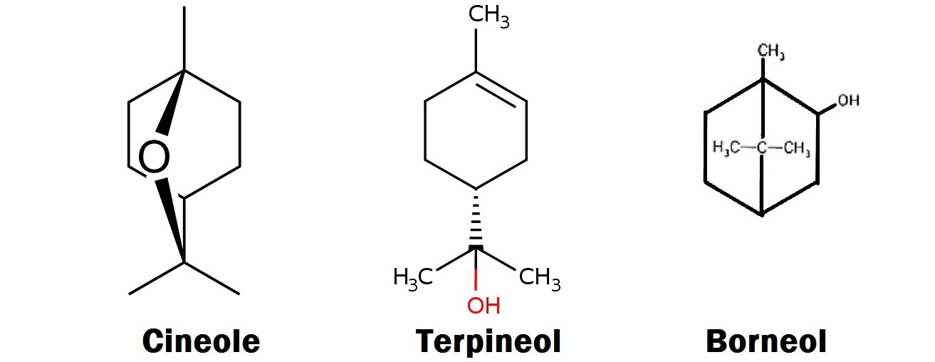 Besides above chemical constituents it contains fixed oil,starch ...