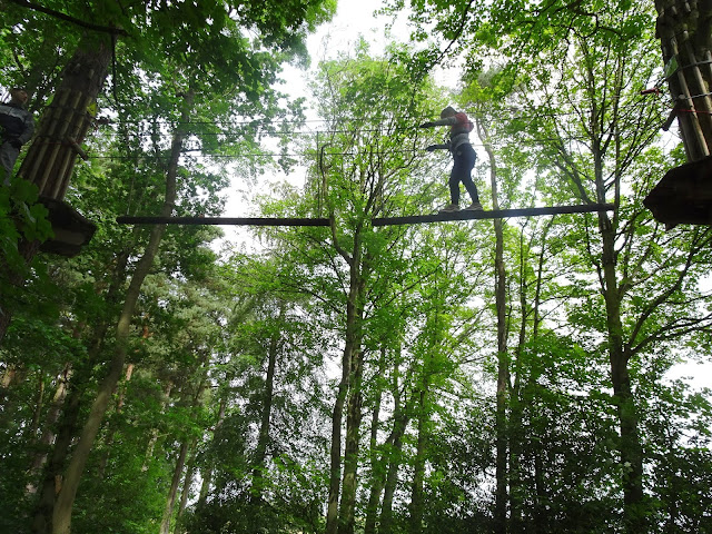 Go Ape Matfen Review | Newcastle Family Life
