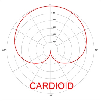 Rex and the Bass: Microphone Patterns and Characteristics