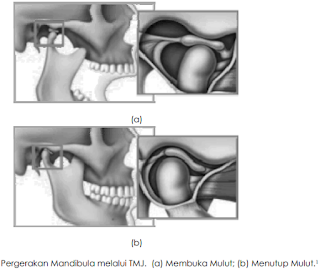 Sumber: Jurnal yang ditulis oleh Suhartini, 2011