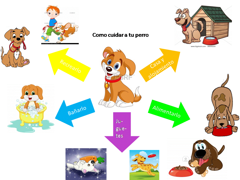 Al cuidado de tus perros : Imagenes