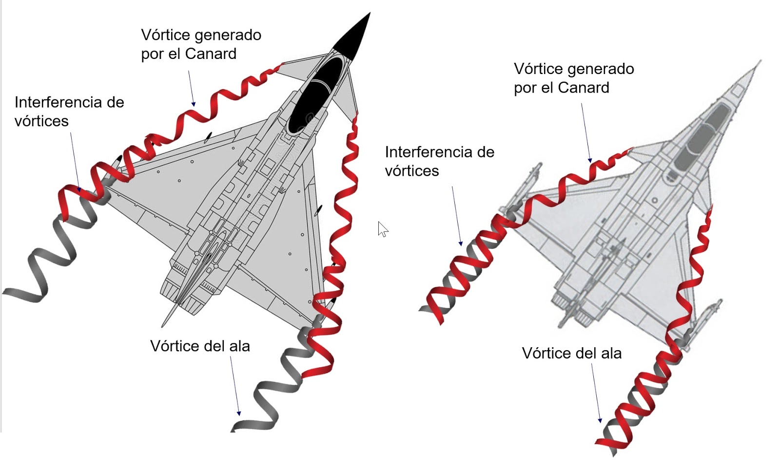 Los Canards, su posición y su influencia en los diferentes "Eurocanards"