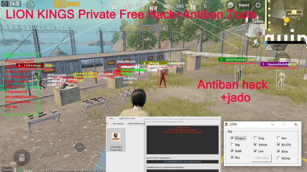 LION KINGS Private Free Hack+Antiban Tools - LION KINGs Gaming