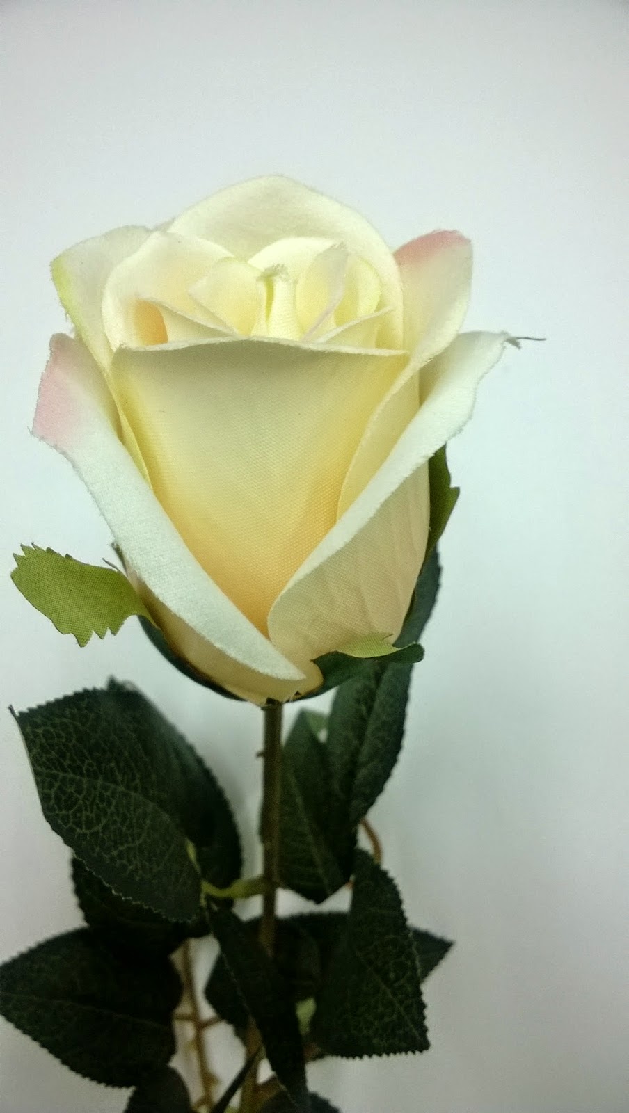 Rosa en boton X1 (H01203) | Pruebas