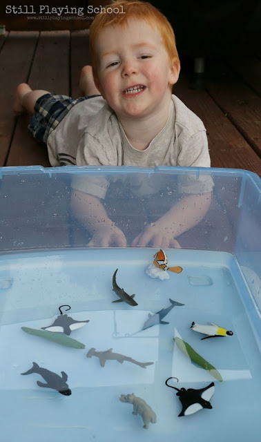 Water Play: Sorting Land and Water Animals | Still Playing School