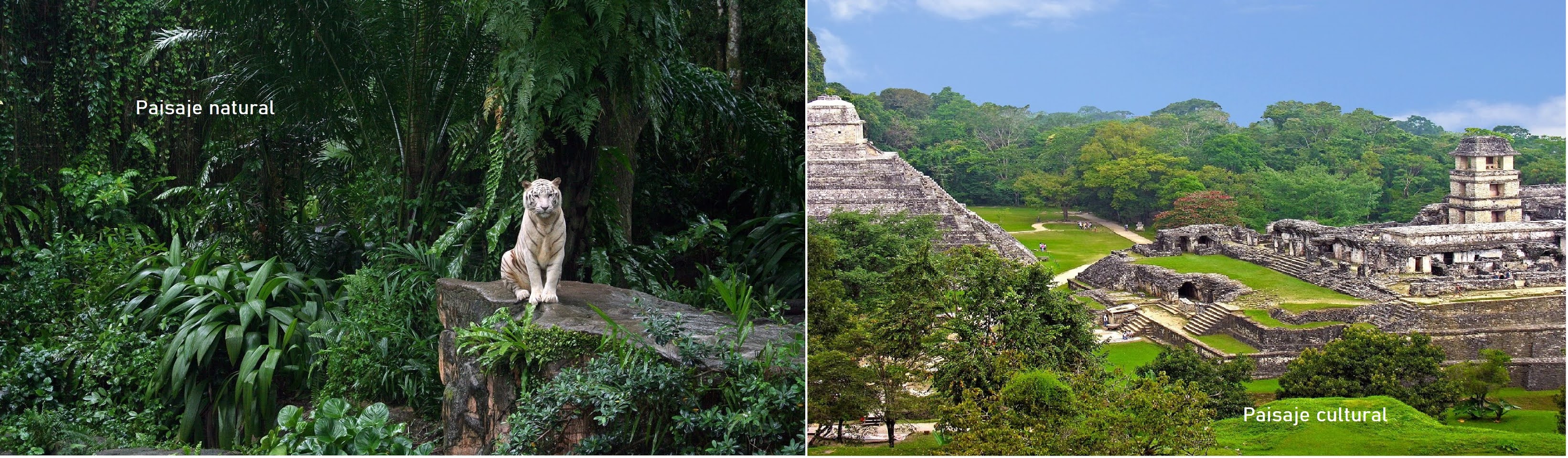 EL ESPACIO GEOGRÁFICO