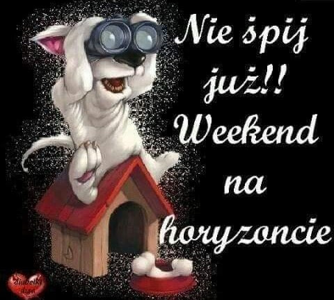 DLA KAŻDEGO: WEEKEND