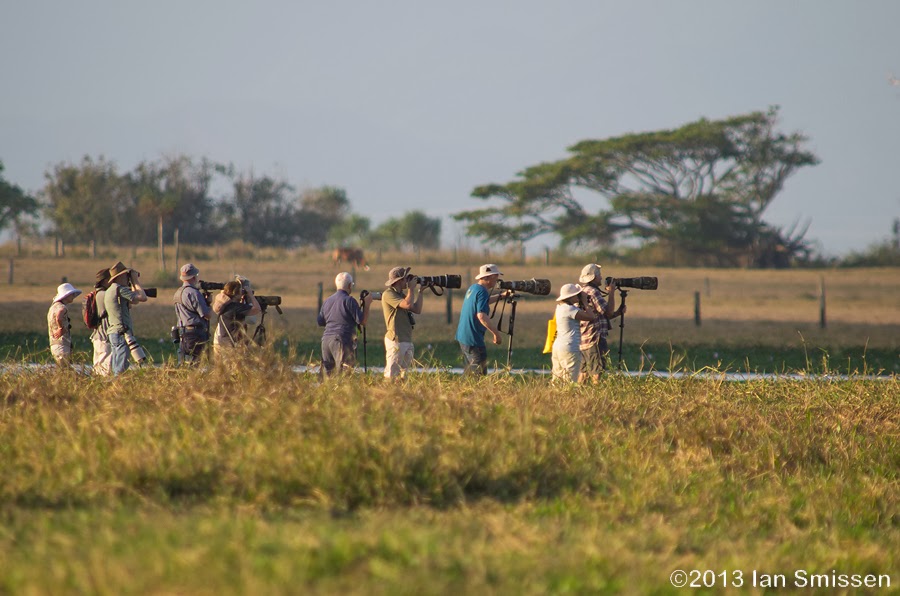 A passion for birds...: Mungalla Station (Part 1)