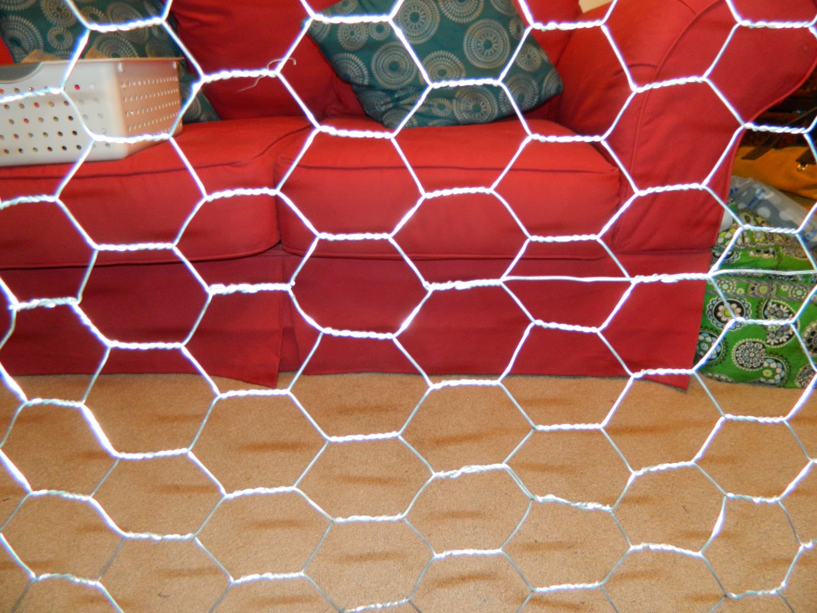 Polka-Dotty Place: My 1st Project with Chicken Wire
