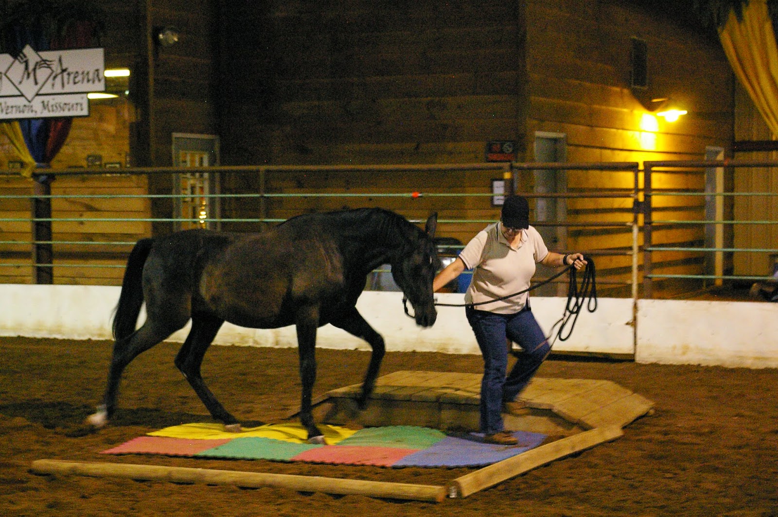 Cheryl Childs Trainer's Blog: In Hand Trail Classes