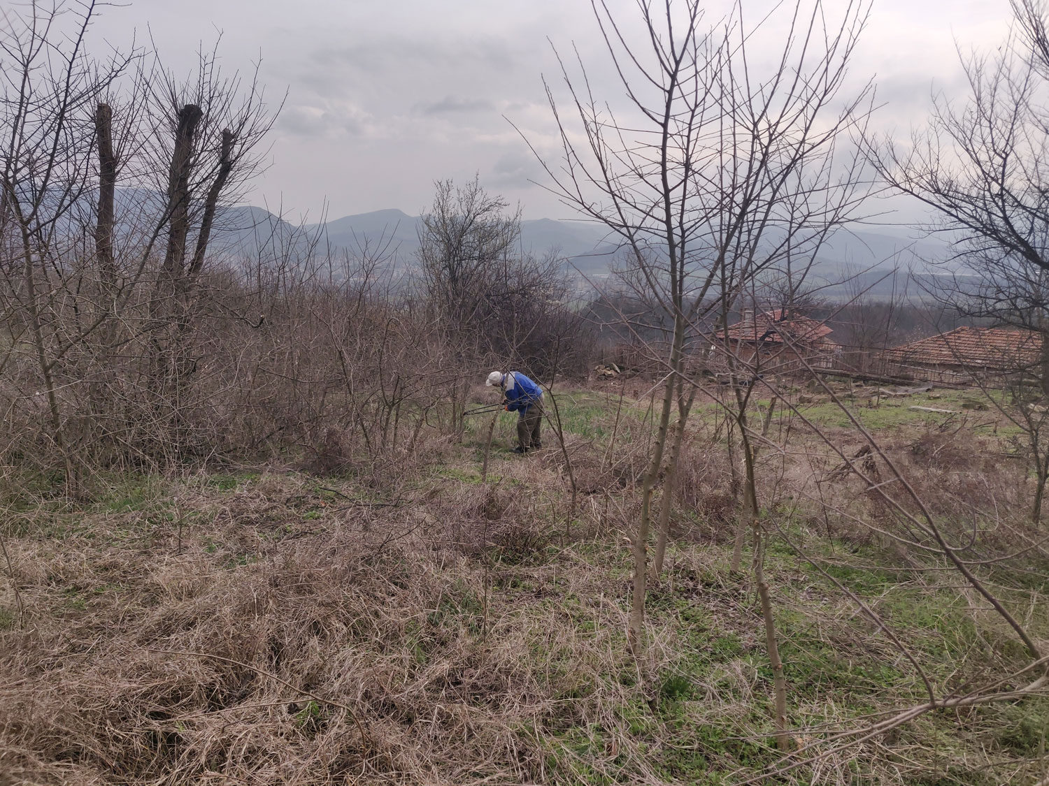 Old School In Bulgaria: A day off, a day of progress