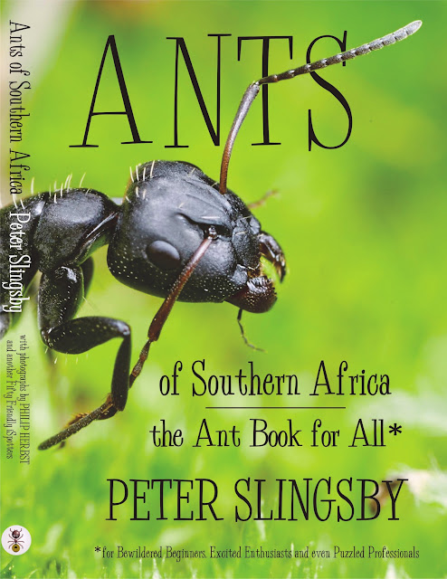 The Ant Book: Ant Book #4