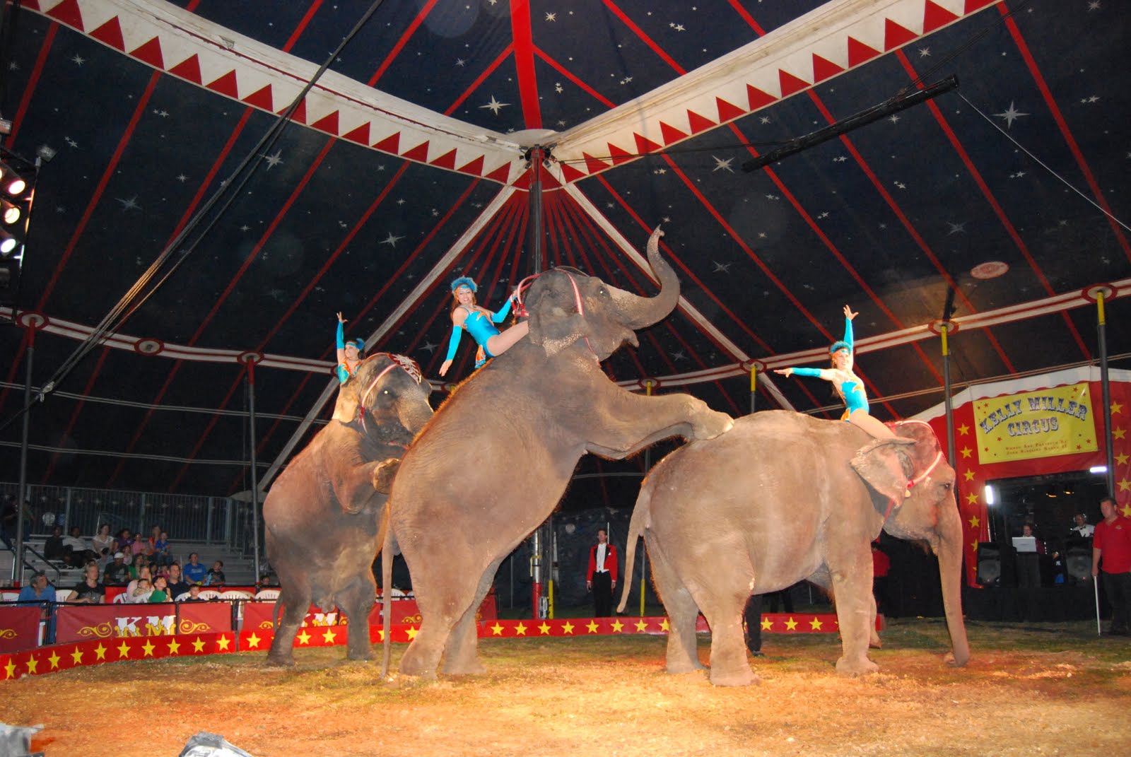 The Ramirez Farm: Circus comes to town!