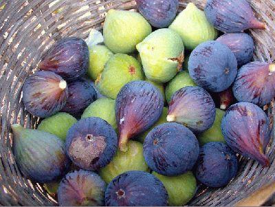 Come verdura de temporada: La breva