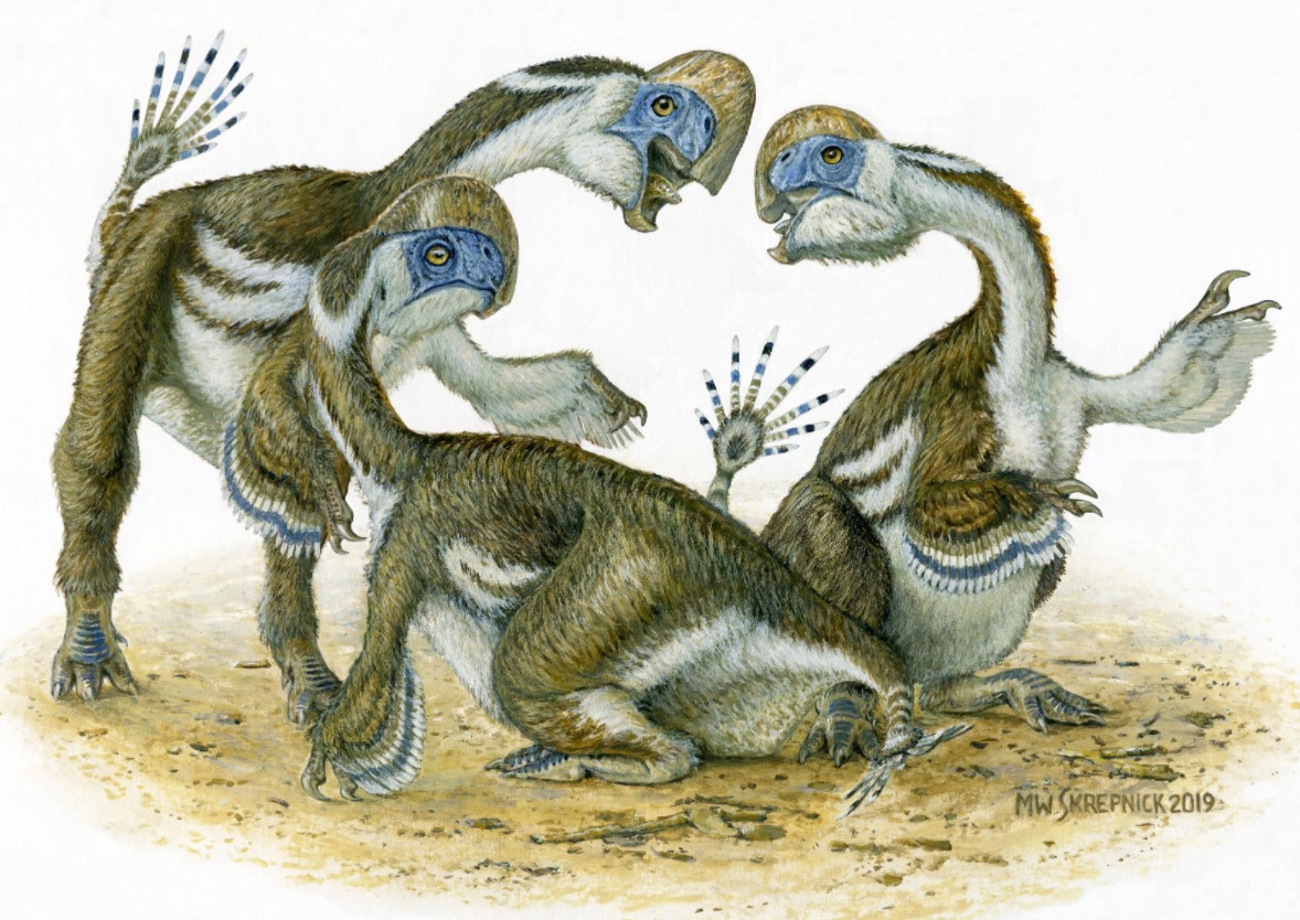 Palaeos, la historia de la Vida en la Tierra: Nuevo oviraptórido que se ...