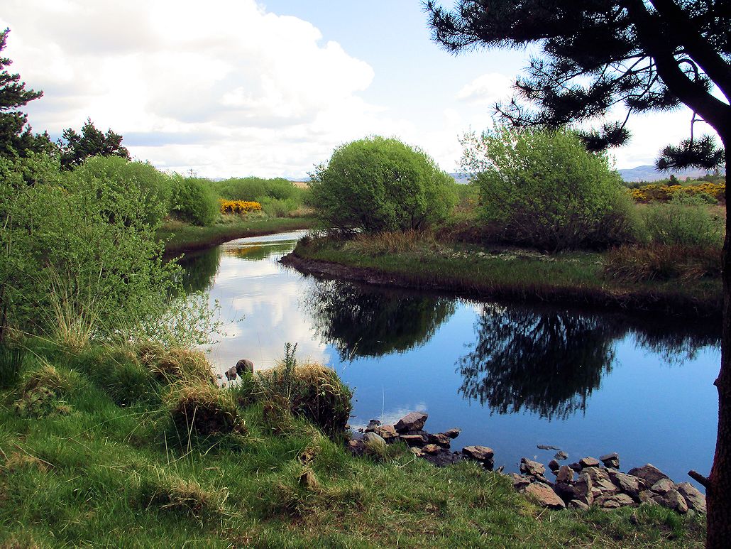 Somewhere in Ireland: a view