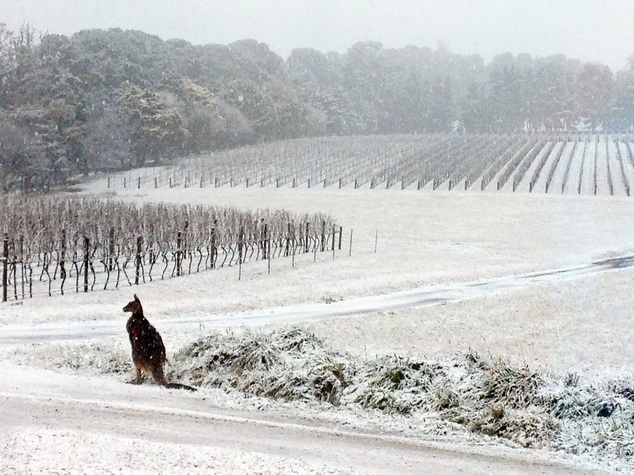 Rodrigues via Mauritius: Schnee in Australien....Snow in Australia ...