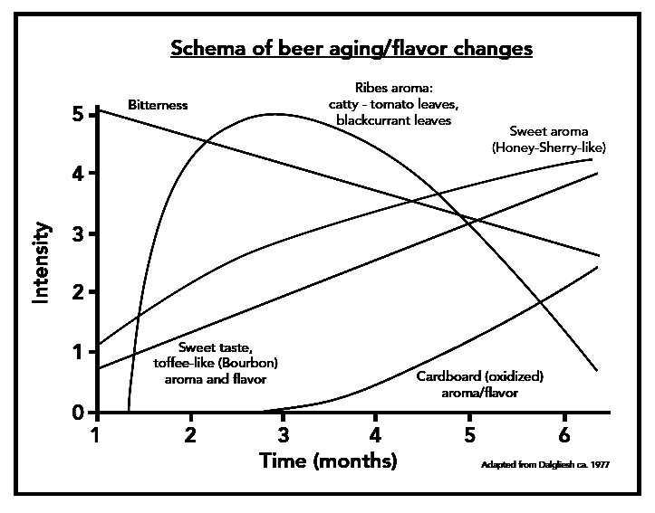 UK Craft Beer: Beer Ageing and Flavour Change with Time