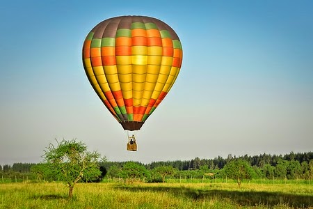 LA PULGA Y EL PROFESOR, de Hans Christian Andersen (II)