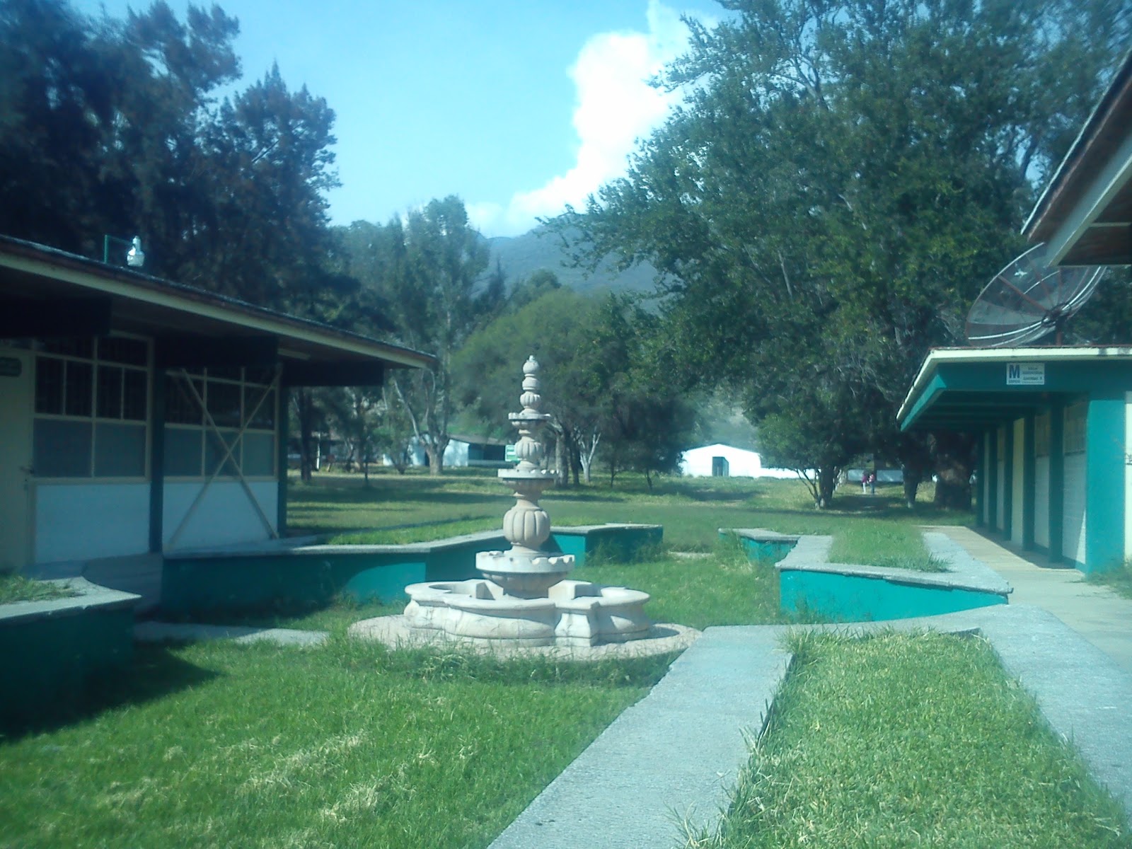 Rumbo a los 40 años del CBTa 19: Festejando los 40 años del Cbta 19