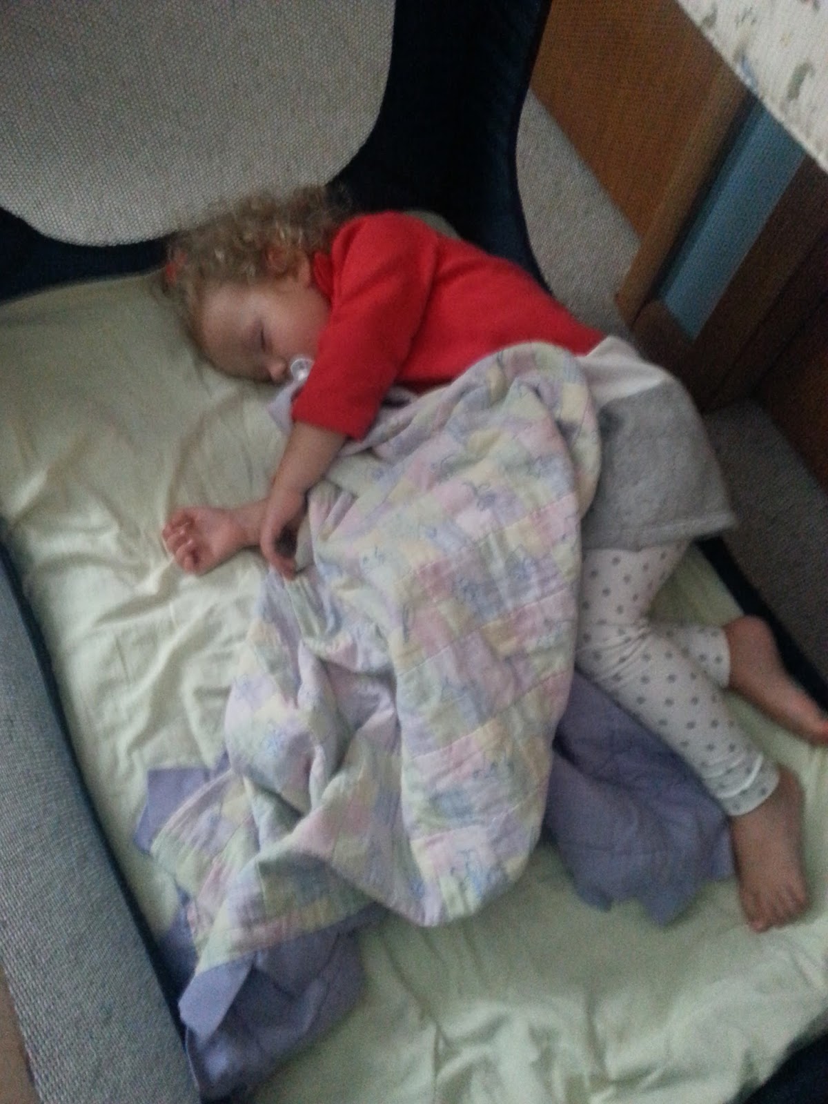 Stang Family of Five: Congratulations Father Mark Stang!