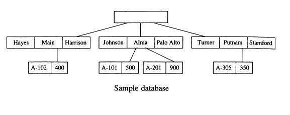 explain various database models in dbms