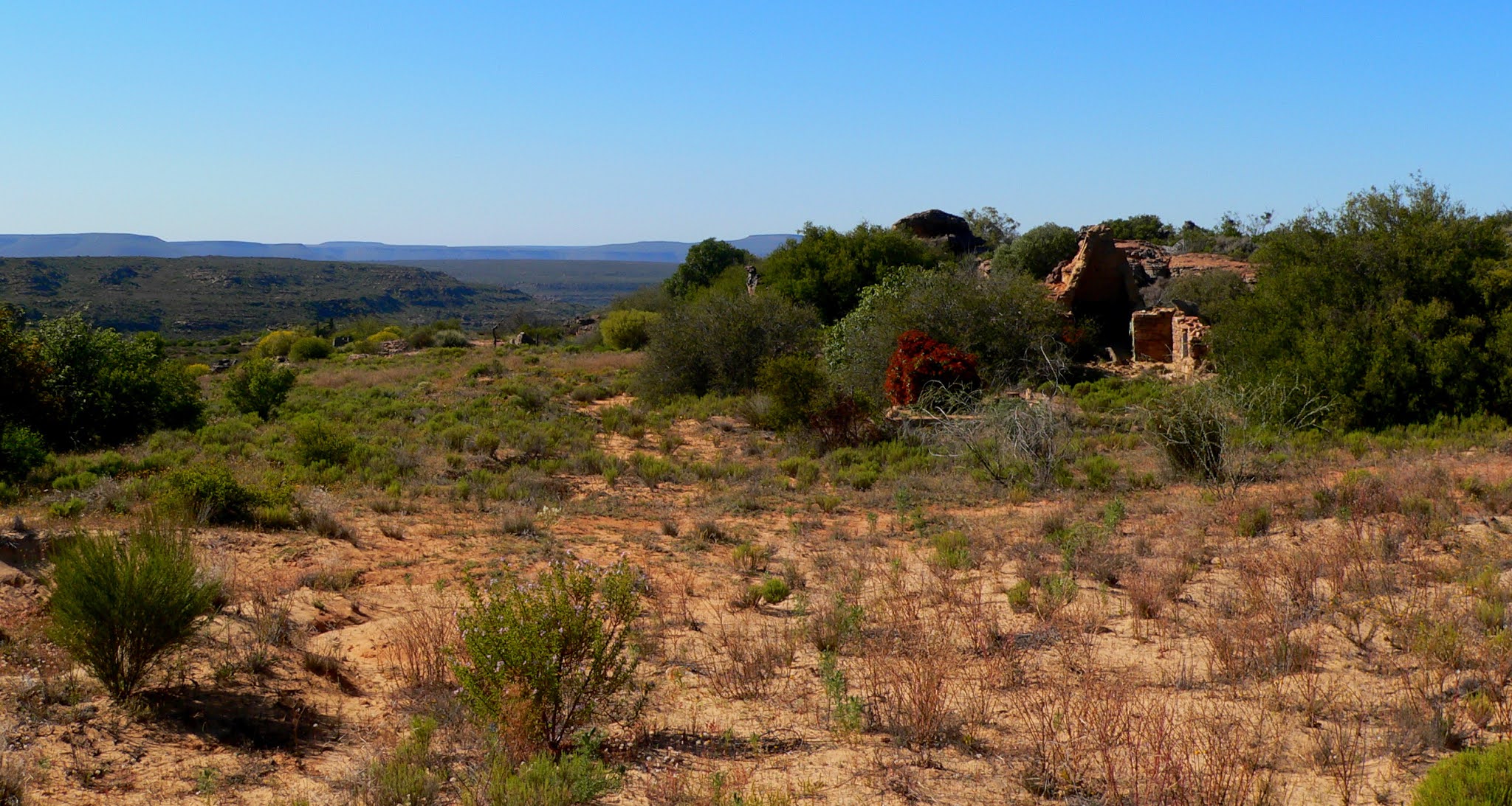 Stofpad Stories: Sederberge - Rooibos Heritage Route, Wupperthal en die ...