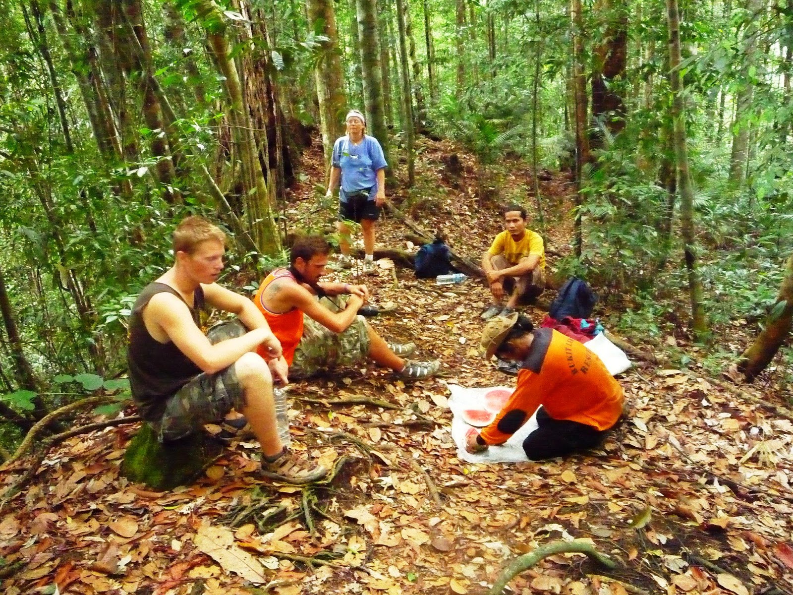 Sumatra Expedition Nature: Sumatra overnight in jungle